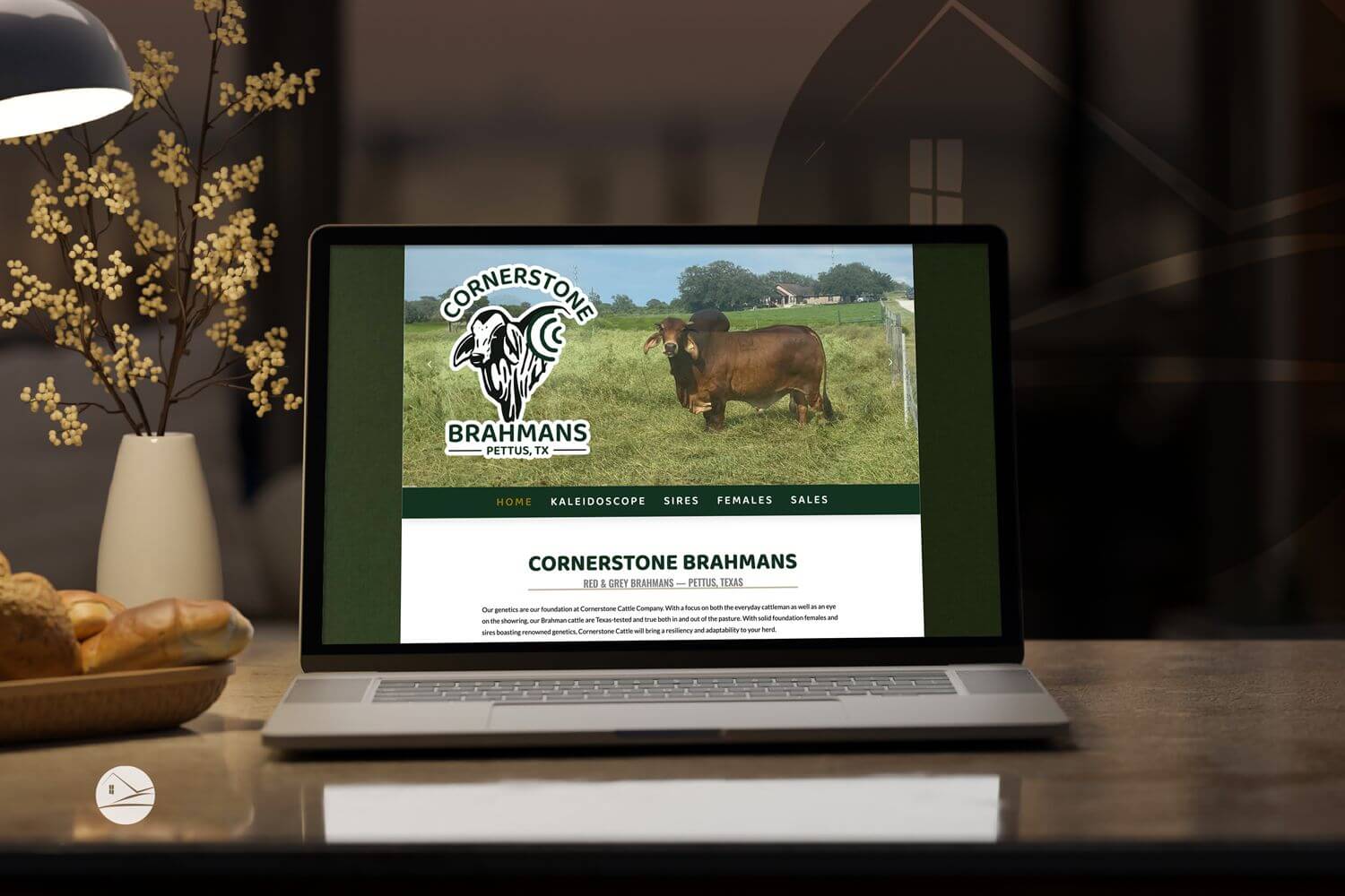 Web Design Gallery - Ranch House Designs - Cattle, Livestock, Agriculture